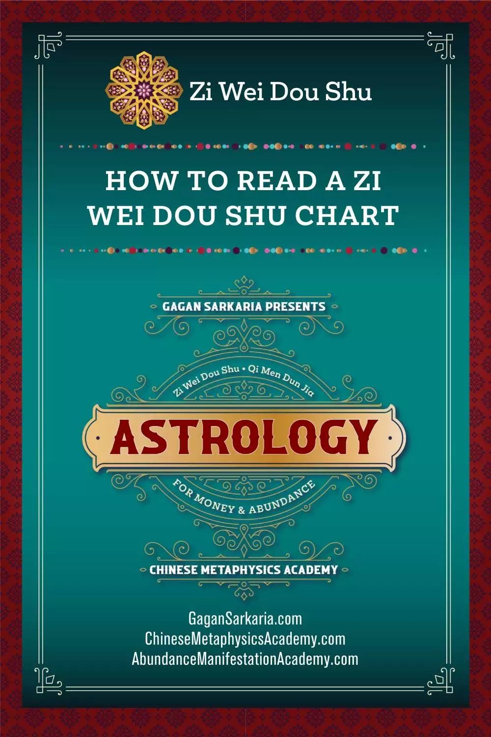 How to read a Zi Wei Dou Shu chart - Gagan Sarkaria