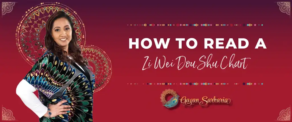How to read a Zi Wei Dou Shu chart - Gagan Sarkaria
