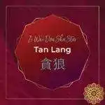 Understanding Your Zi Wei Dou Shu Stars Meaning and Message