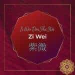 Understanding Your Zi Wei Dou Shu Stars Meaning and Message
