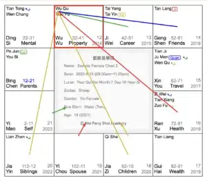 How a Zi Wei Dou Shu Chart Interpretation enhances monthly wealth
