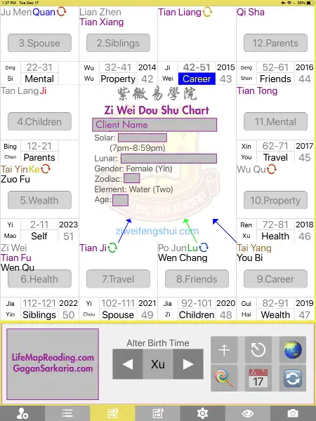 How to read a Zi Wei Dou Shu chart - Gagan Sarkaria
