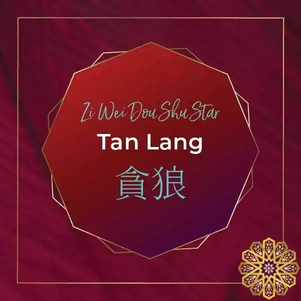 Understanding Your Zi Wei Dou Shu Stars Meaning and Message