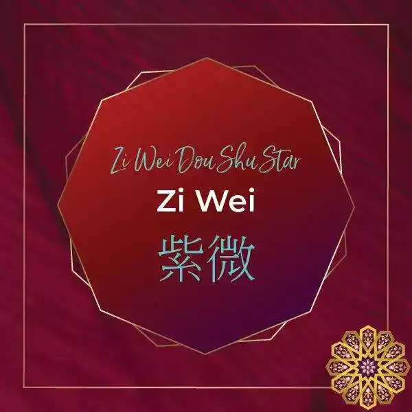 Understanding Your Zi Wei Dou Shu Stars Meaning and Message