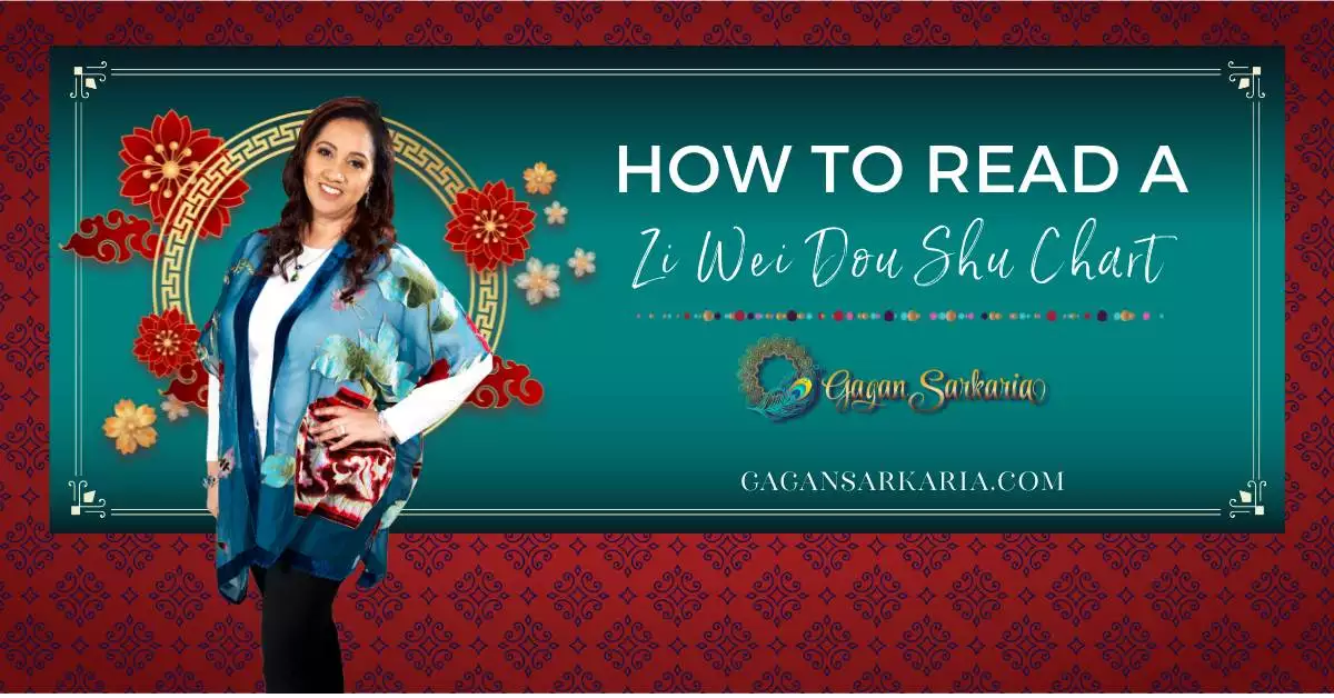 How to read a Zi Wei Dou Shu chart - Gagan Sarkaria